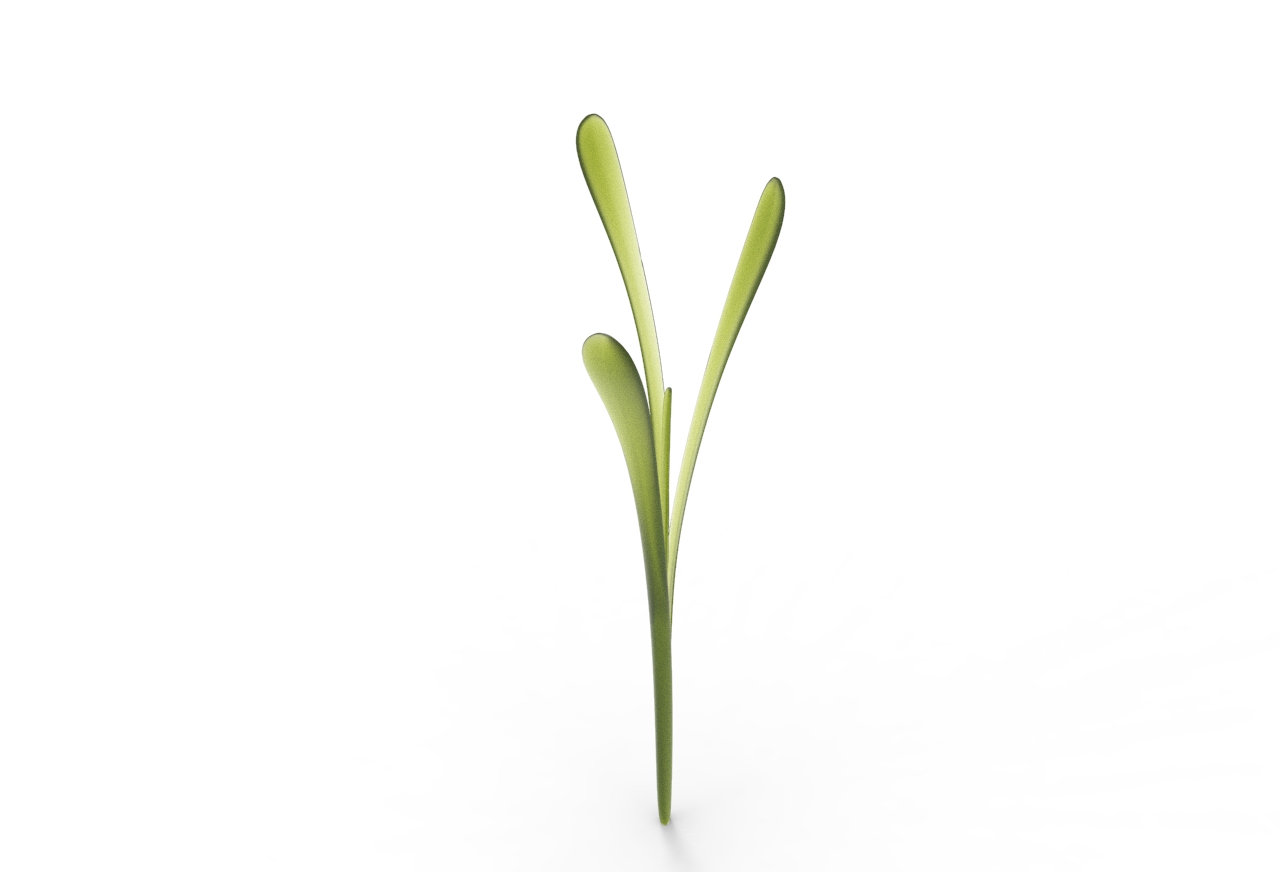 3D file grass 🌱・3D printing template to download・Cults