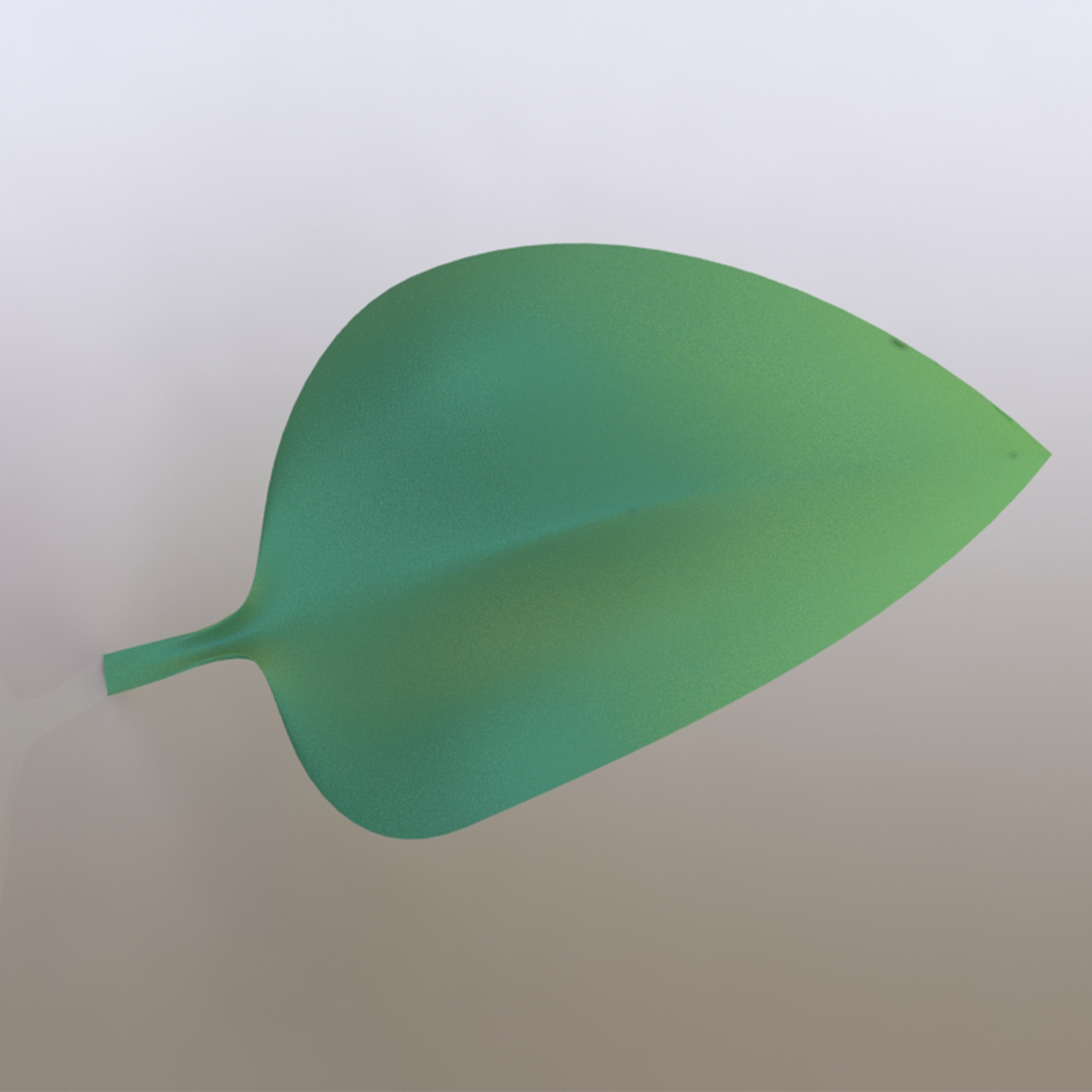 STL file leaf -soft・3D printing idea to download・Cults