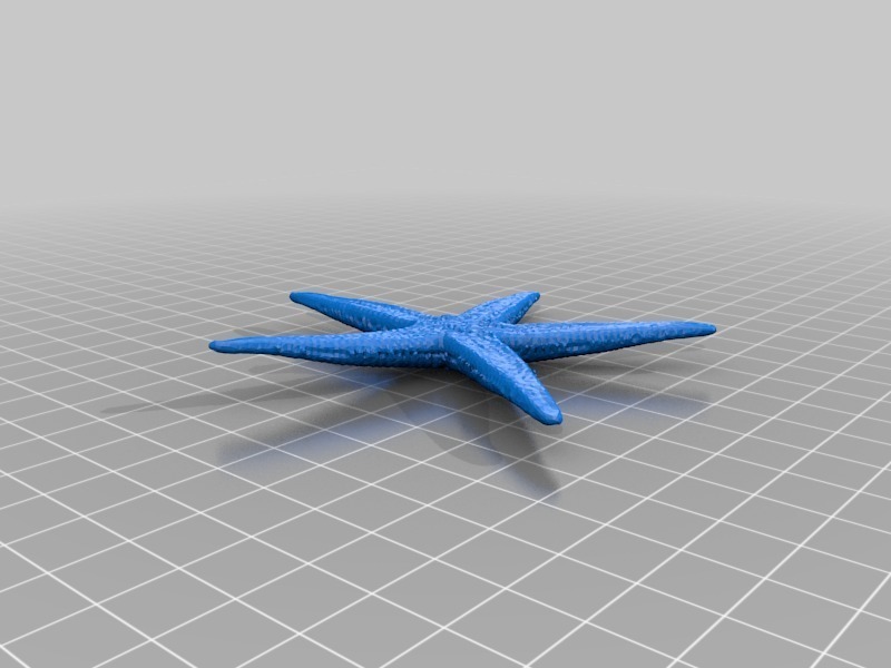 Free 3D file StarFish A 🧪・Design to download and 3D print・Cults