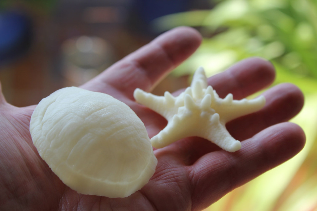 Free 3D file Lost Turtle・3D printable object to download・Cults