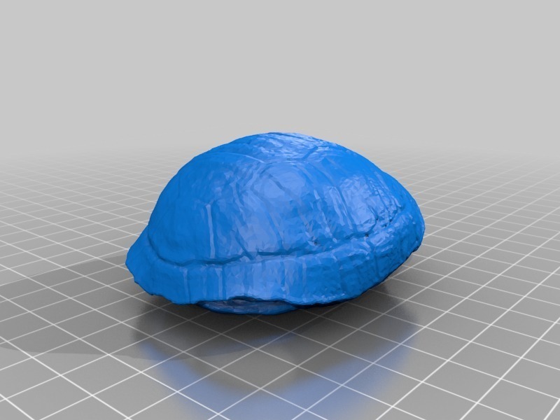 Free 3D file Lost Turtle・3D printable object to download・Cults