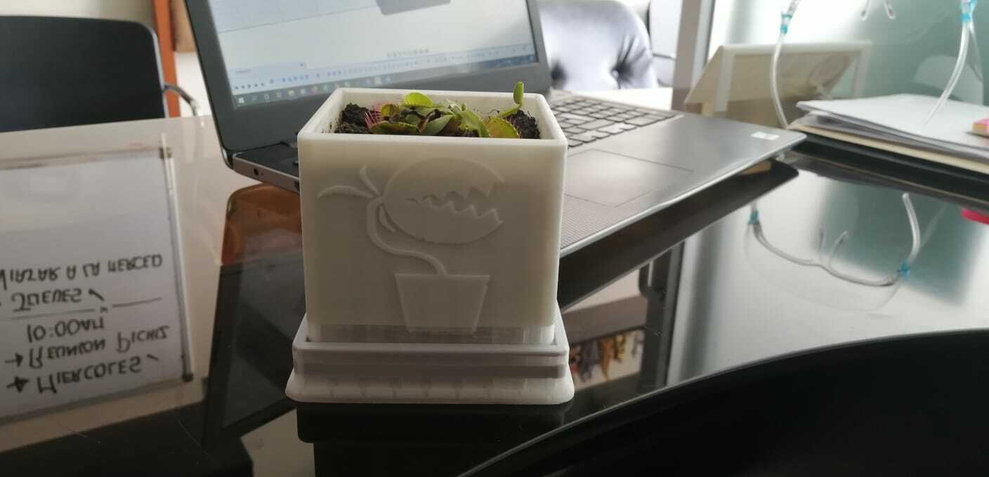 Free STL file POT - CARNIVOROUS PLANT・Template to download and 3D print ...