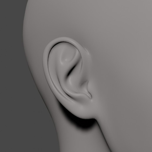 Download 3D printer templates Realistic female figure 3d model- base ...