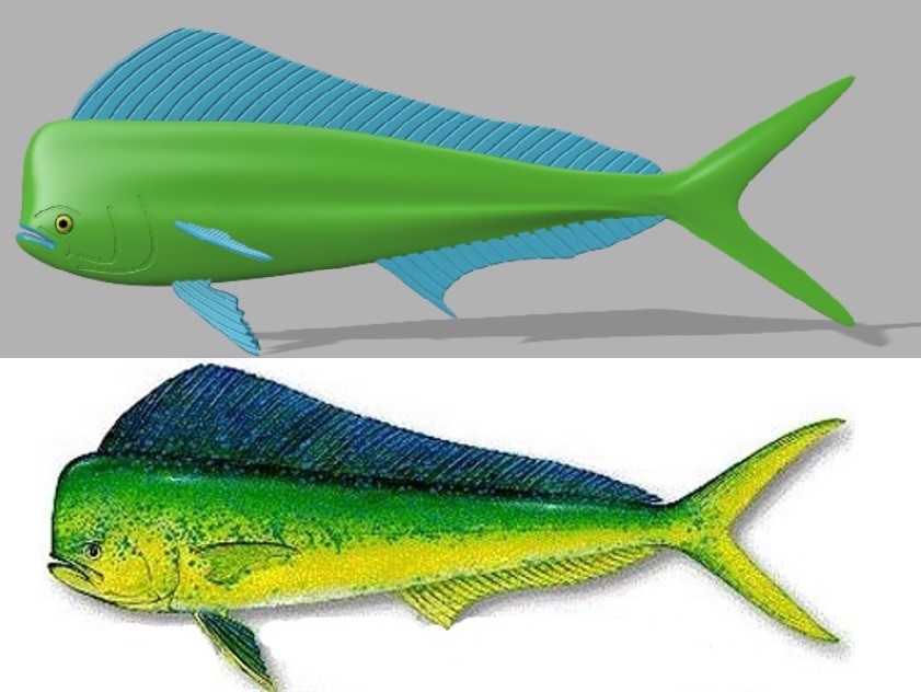 STL file mahi-mahi 🎣・Model to download and 3D print・Cults