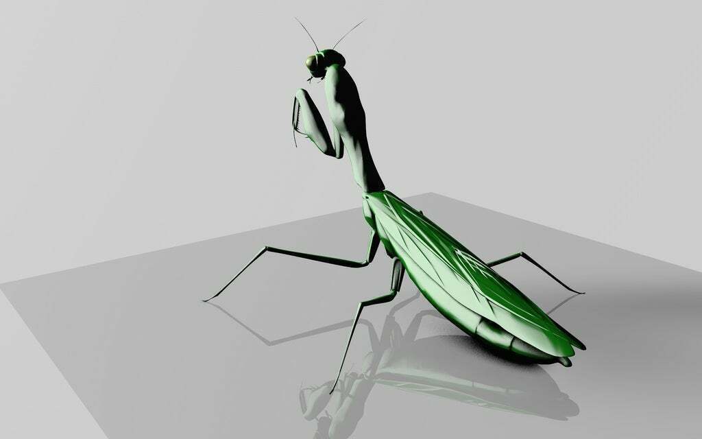 Free STL file Praying Mantis 🙏・3D print design to download・Cults