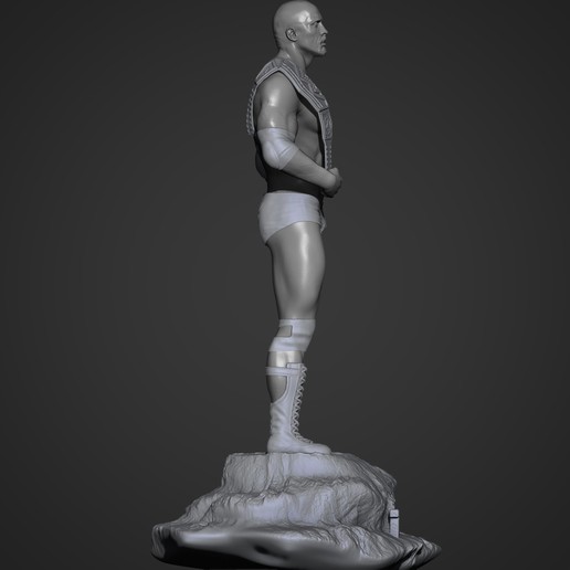 Descargar archivo STL The Rock - Dwayne Johnson 3D Print • Plan para la ...
