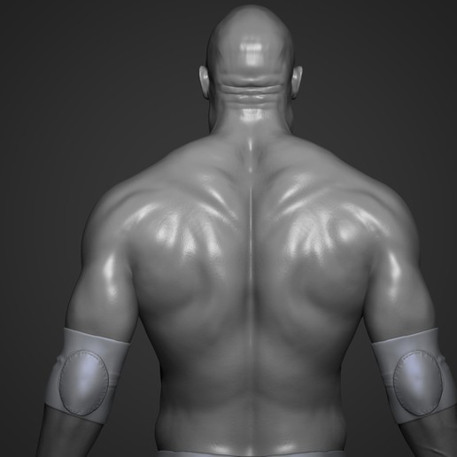 Download STL file The Rock - Dwayne Johnson 3D Print • 3D print model ...