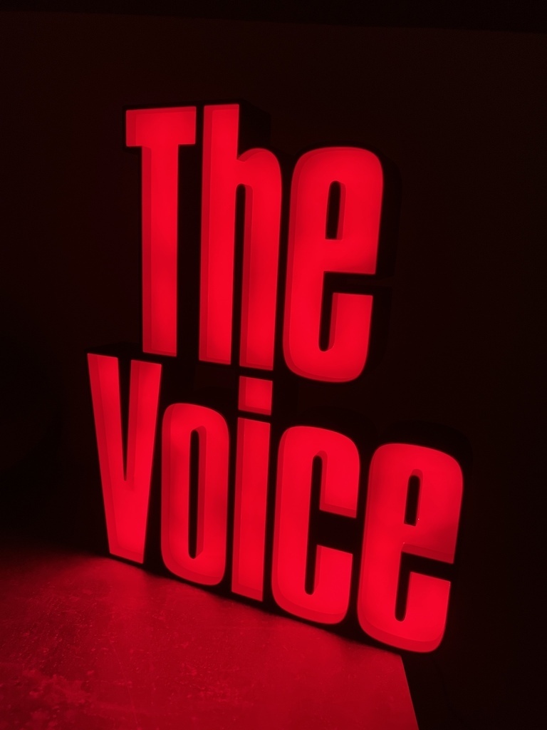 STL file The Voice LED illuminated letters 🏠・3D printable design to ...