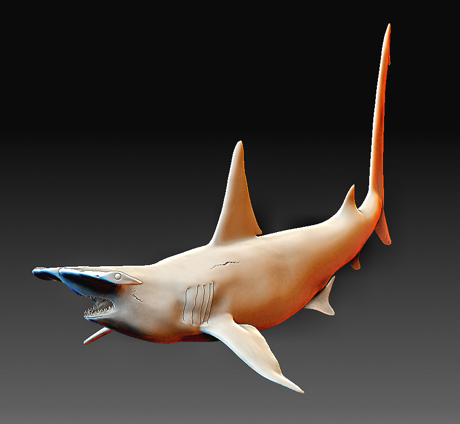 STL file Hammerhead shark・3D printing model to download・Cults