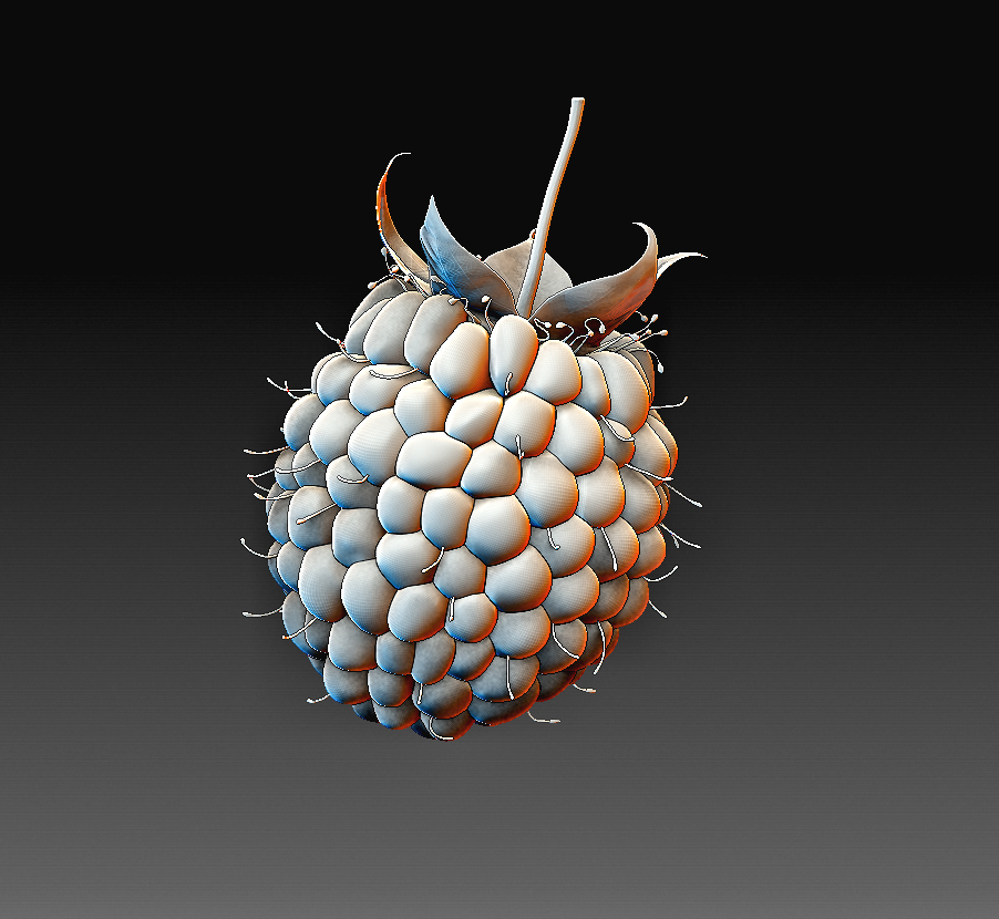 Free STL file Raspberry 🎨・3D printable model to download・Cults