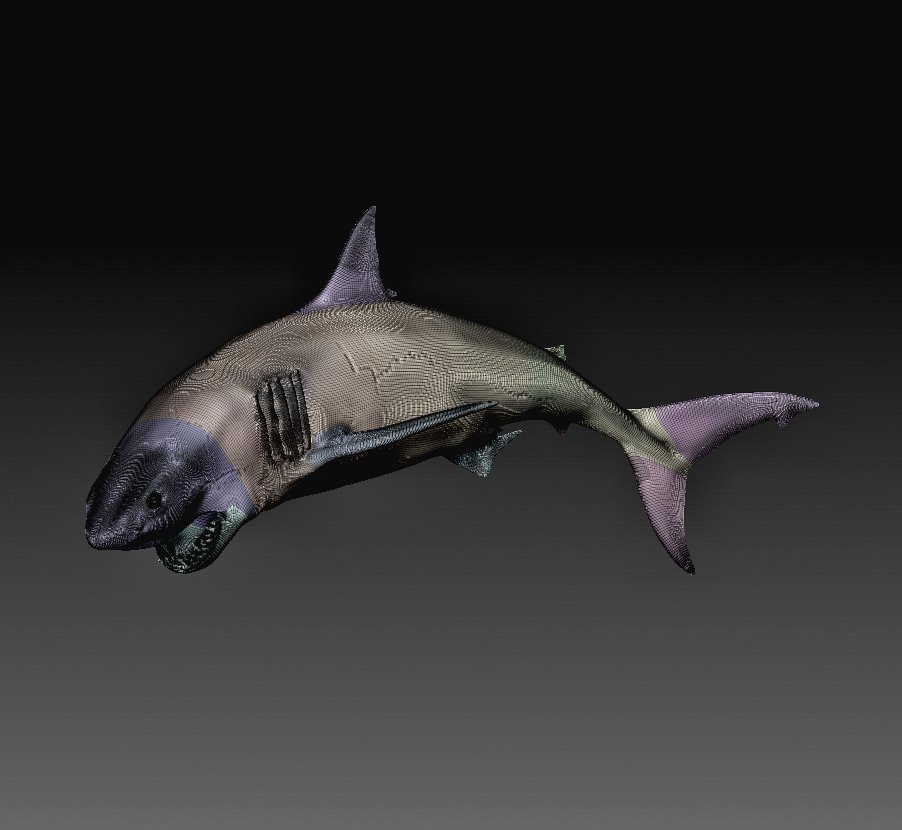 Free STL file Shark・3D printable model to download・Cults