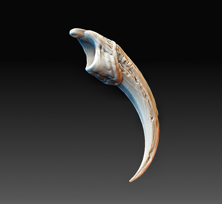 Free STL file Claws medalion・3D printable design to download・Cults