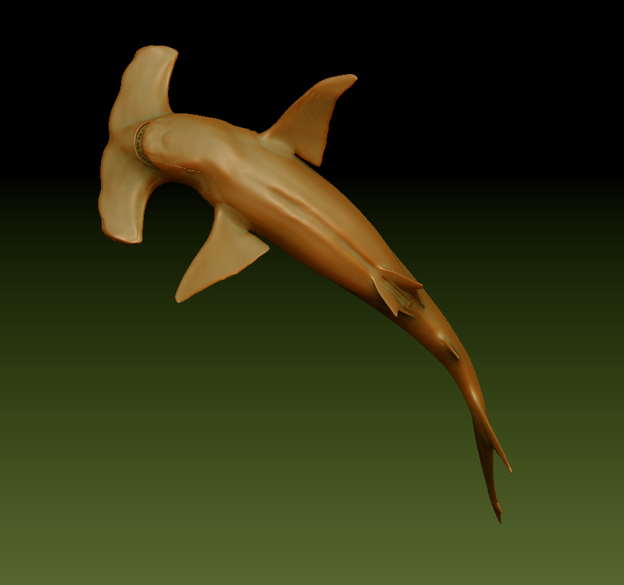 STL file Hammerhead shark・3D printing model to download・Cults