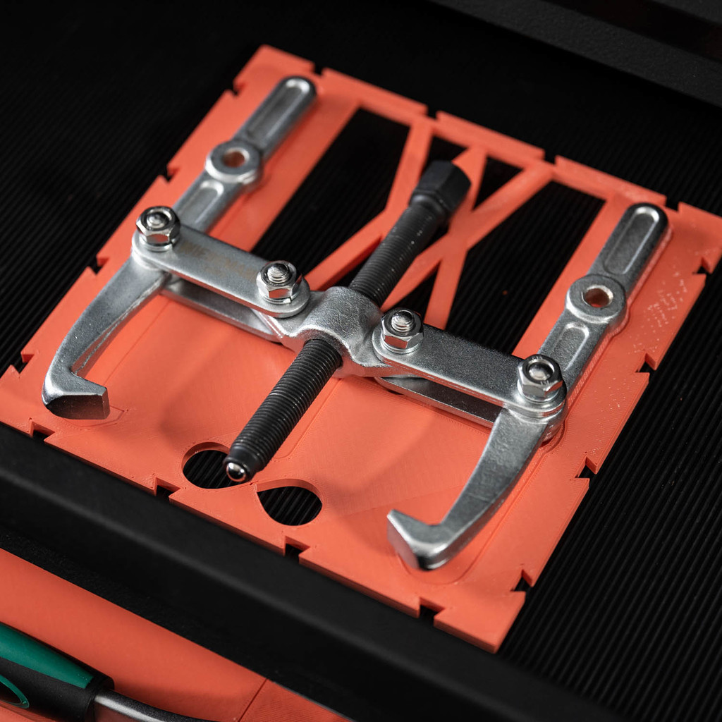 Free 3D file Inlay for Leg Puller I Tool Trolley Insert I WM099・3D ...