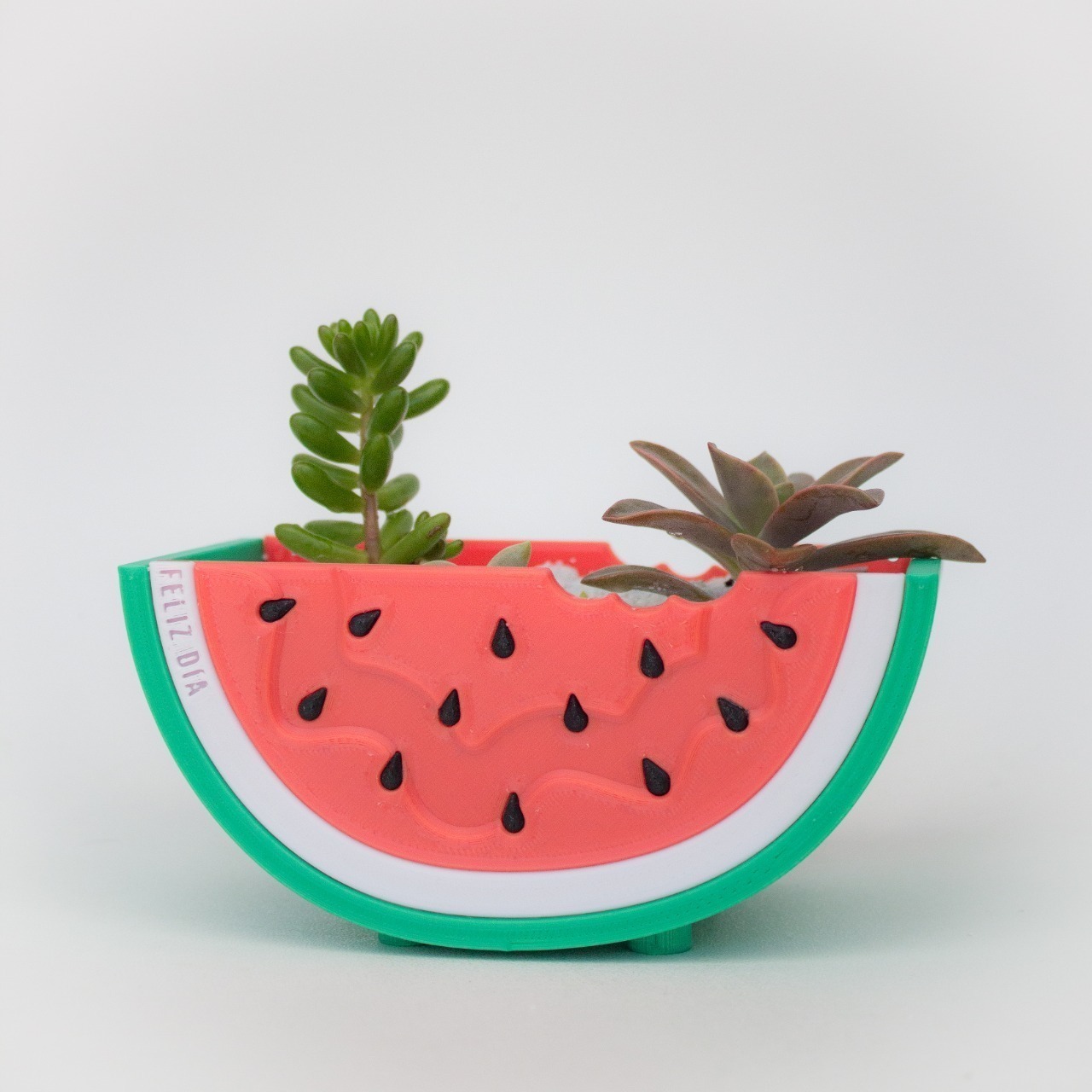 Free STL file Watermelon plant pot 🍉・3D print model to download・Cults