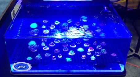 Free STL file 3D PRINTING - CORAL FRAG PLUG 🪸・Object to download and to ...