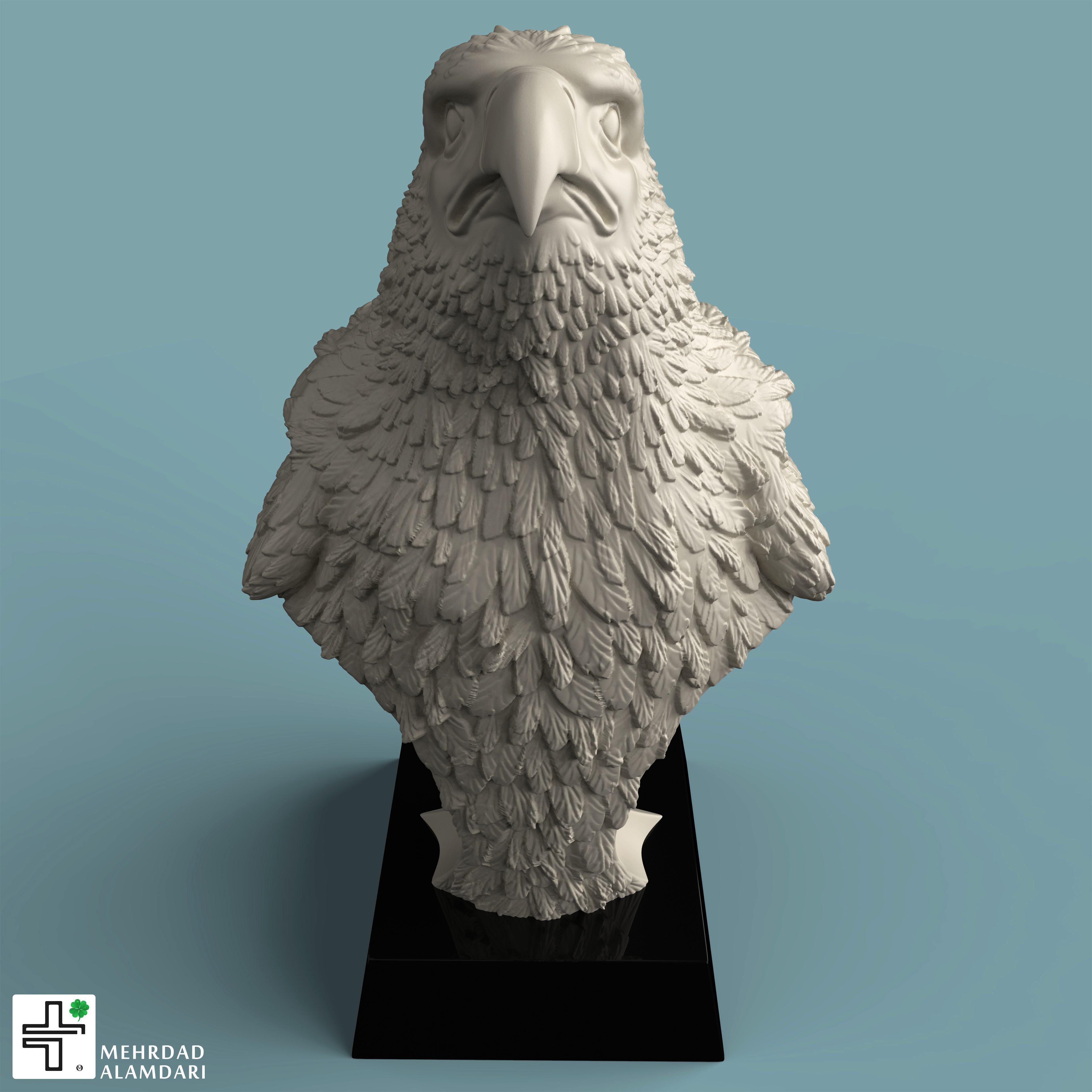 3D file Eagle_Head 🦅・3D printer model to download・Cults