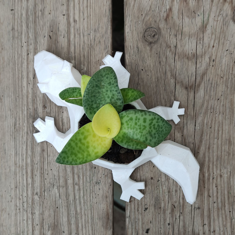 STL file low poly lizard pot planter・Design to download and 3D print・Cults