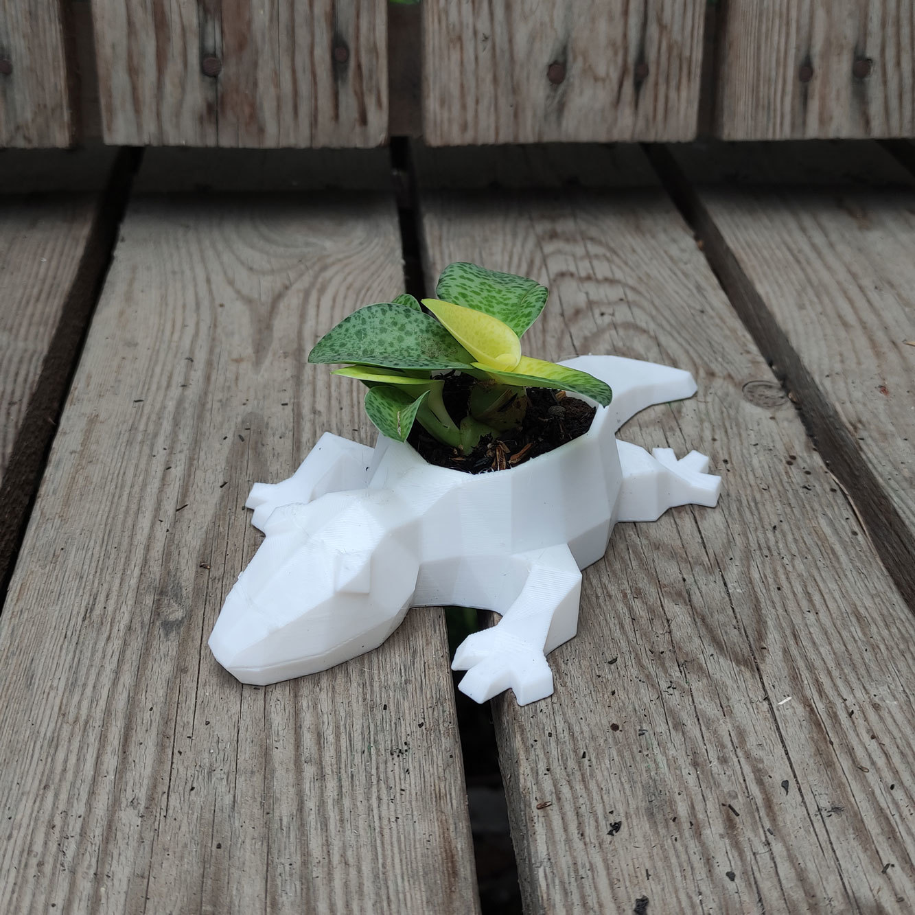 STL file low poly lizard pot planter・Design to download and 3D print・Cults