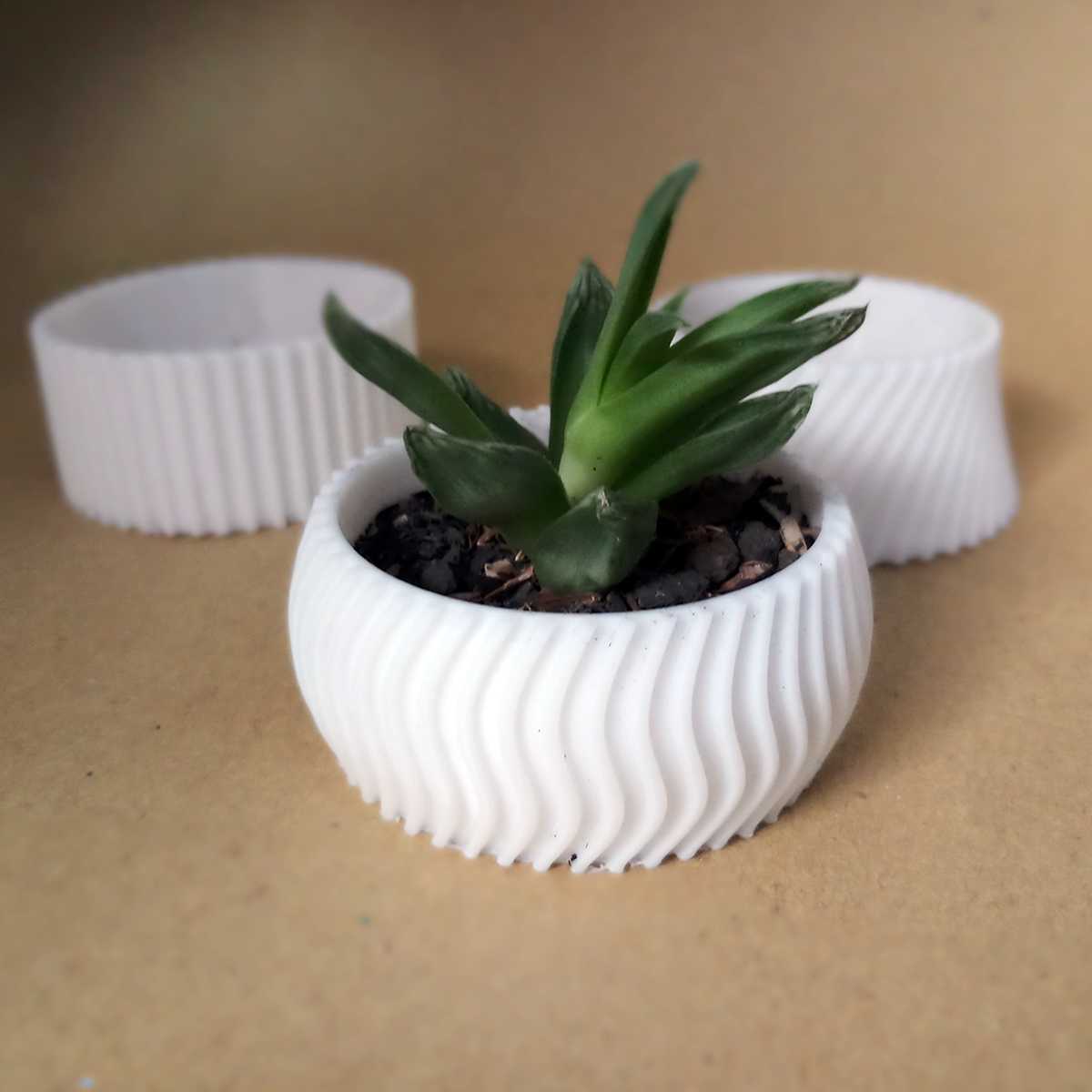 Free STL file Cactus Planter 2 - small・3D printer design to download・Cults