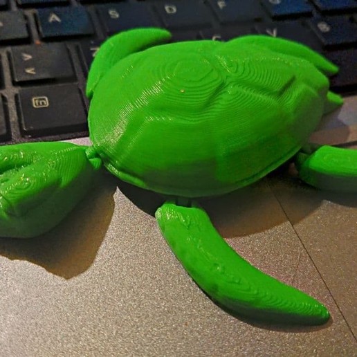 Download free STL file Articulated Turtle - FLEXI PRINT-IN-PLACE • 3D ...