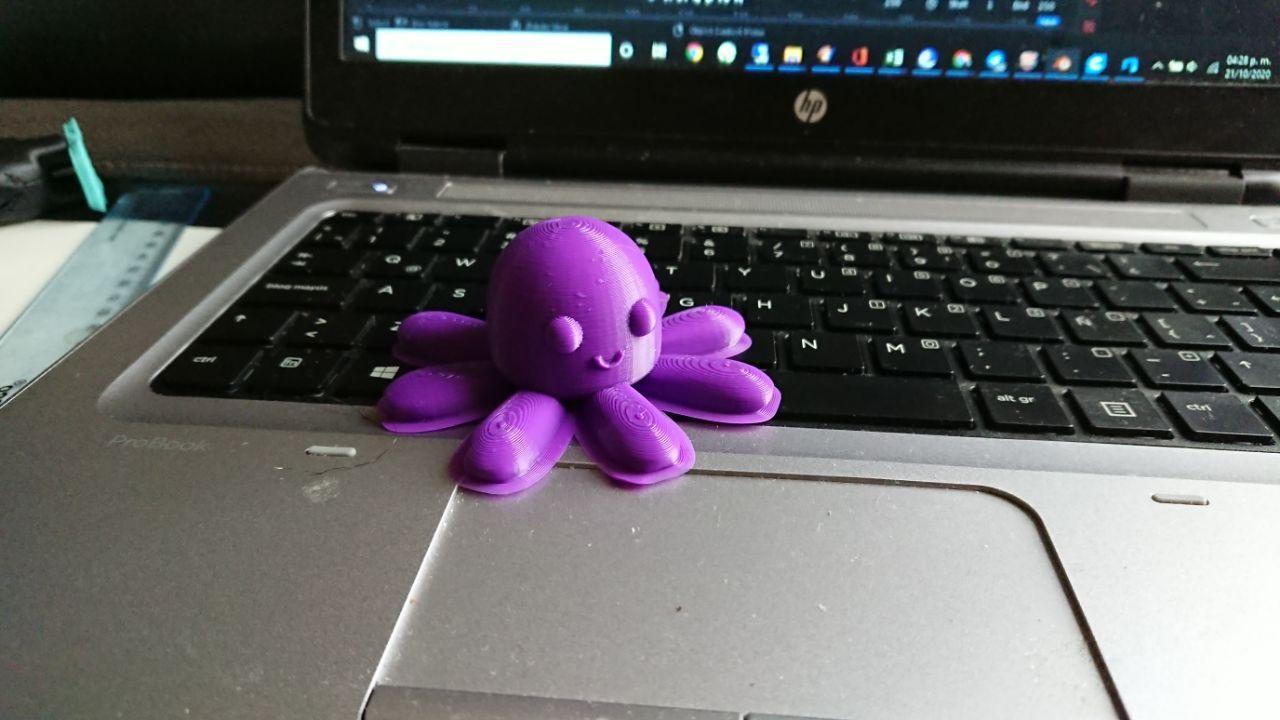 Free STL file Octopus Octopus Angry/Happy・3D print design to download・Cults