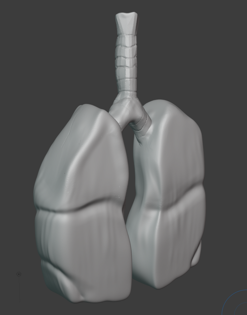 Free STL file Realistic looking lungs・3D print model to download・Cults