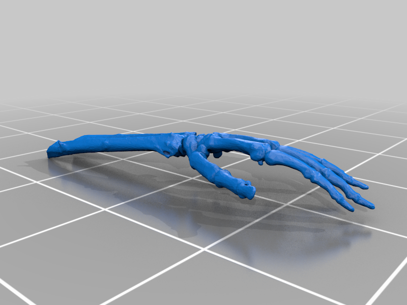 Free 3D file Skull Bug Catchers 1/25th scale 💀・3D printing idea to ...