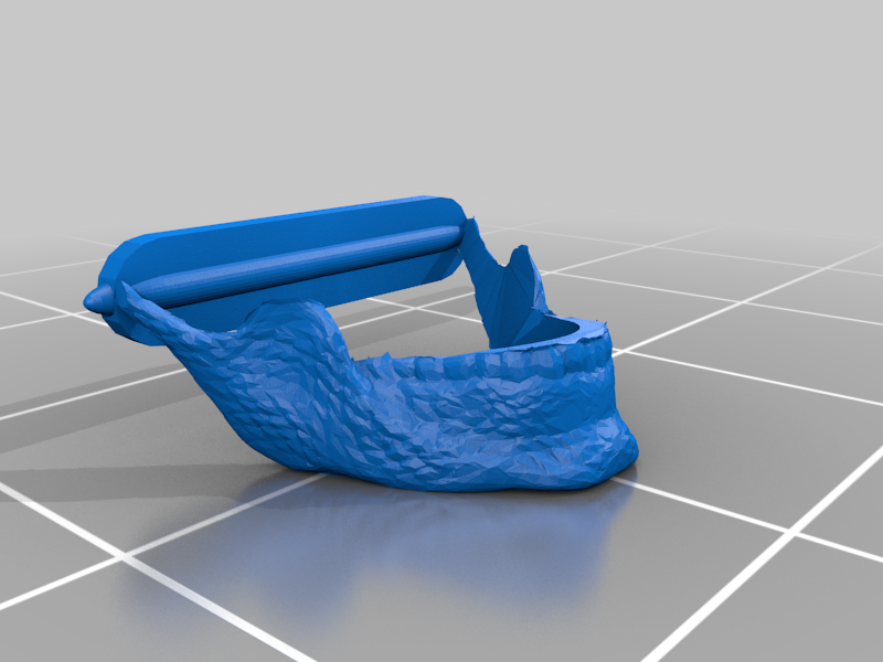 Free 3D file Skull Bug Catchers 1/25th scale 💀・3D printing idea to ...