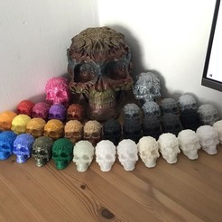 Best 3D printer files of skulls ・ Cults