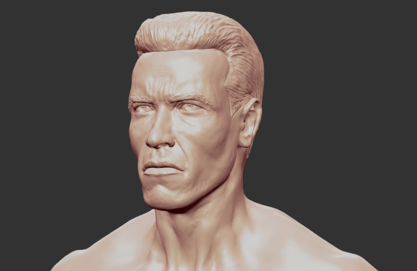 STL file ARNOLD SCHWARZENEGGER 👤・Model to download and 3D print・Cults
