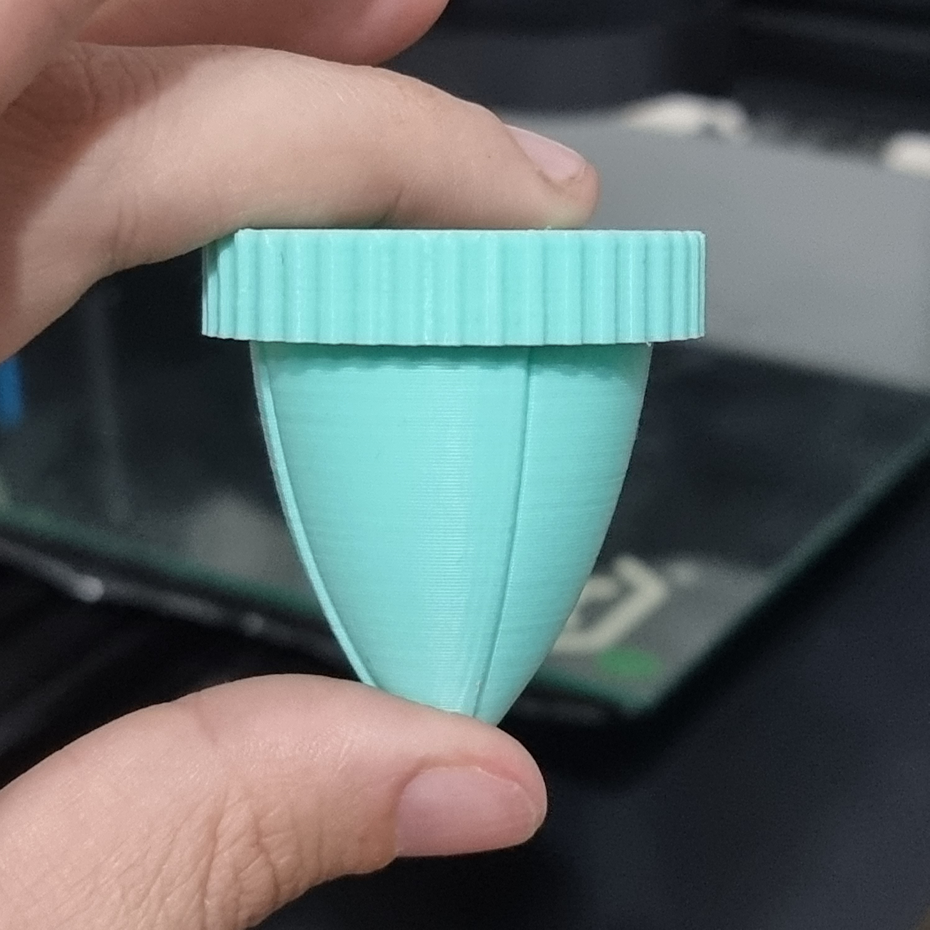 Free STL file Bellota Germinating acorn / Germinating acorn・3D printing ...