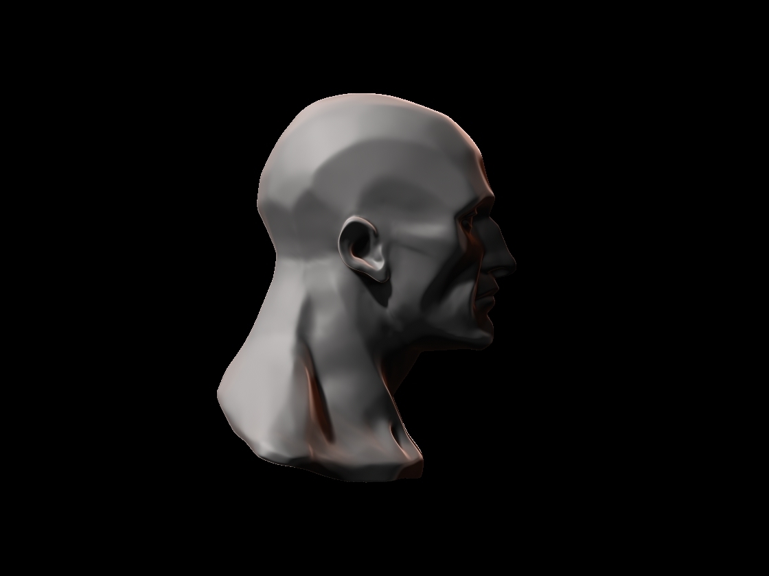 STL file HEAD STUDY FOR REFERENCE 🧑‍🏫・3D printable model to download・Cults