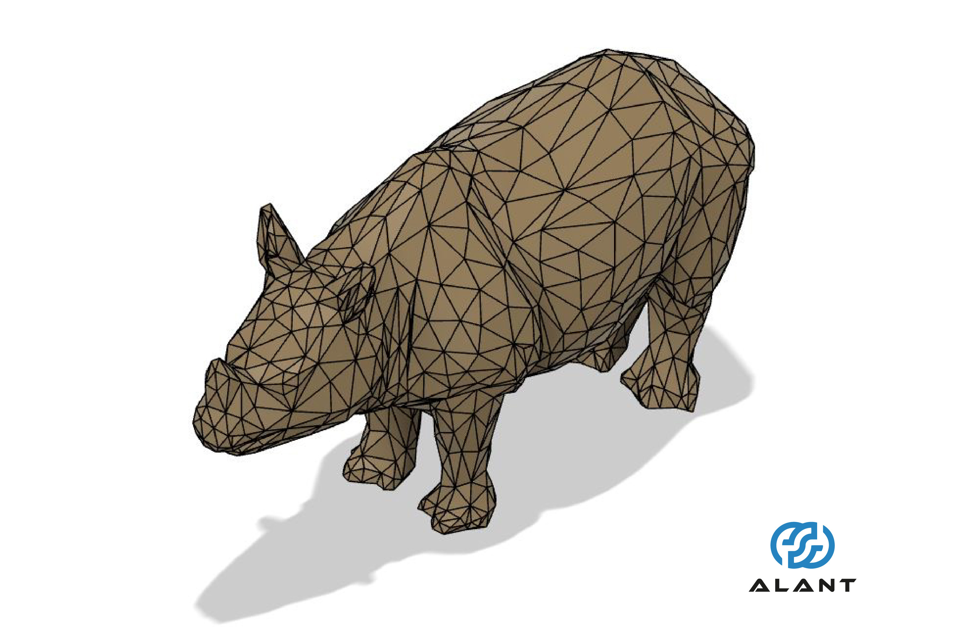 Rhino 3d Drawing