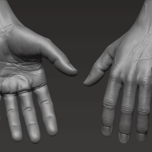 Download STL file Anatomically correct muscular male body Low and High ...