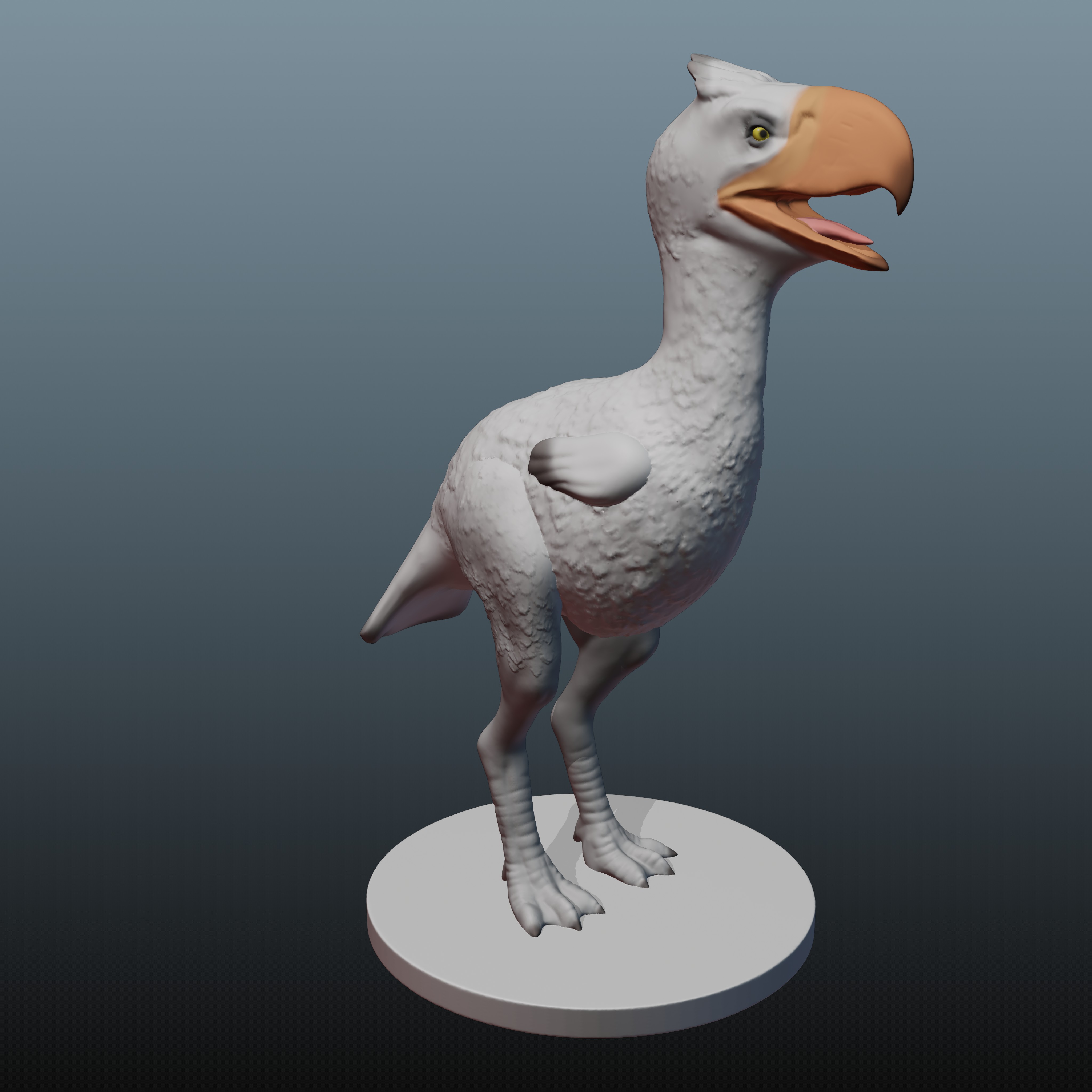 STL file Terror Bird Maroc・3D printable model to download・Cults