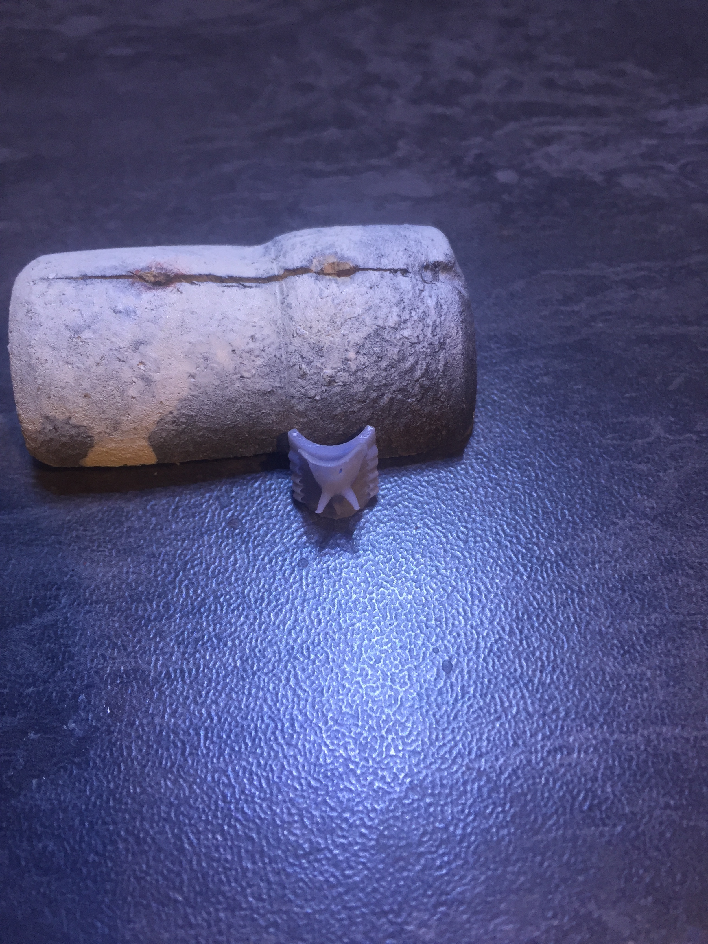 STL file tau epaulette triceratops・3D printer model to download・Cults