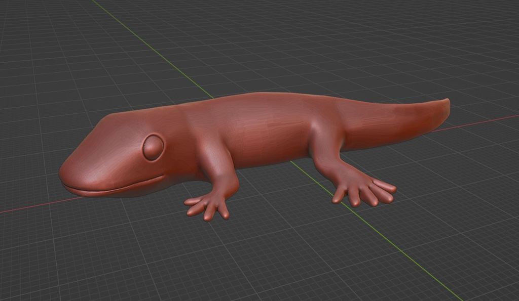 Free STL file Salamander/Newt 🐸・3D printer design to download・Cults