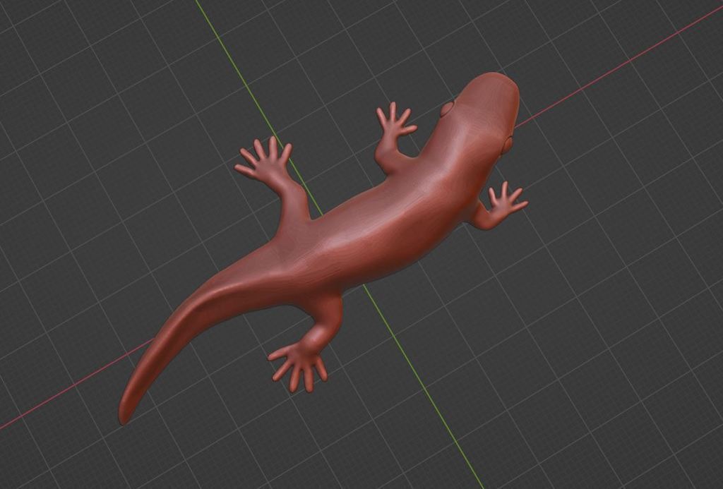 Free STL file Salamander/Newt 🐸・3D printer design to download・Cults