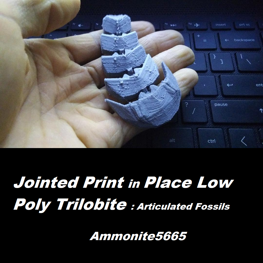STL file Jointed Print in Place Low Poly Trilobite : Articulated ...