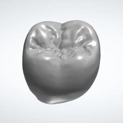 STL files for 3D printer Tooth ・ Cults