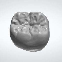 STL files for 3D printer Tooth ・ Cults