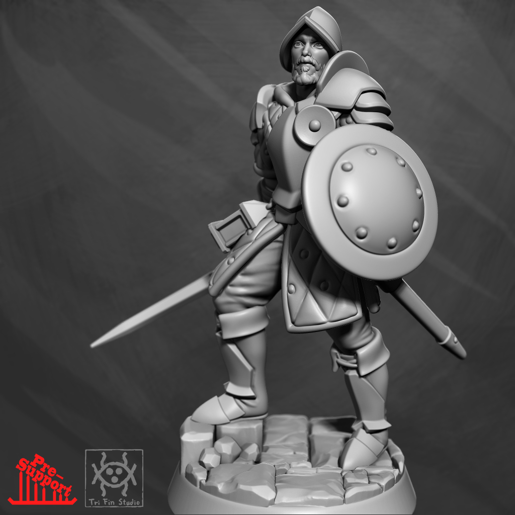 STL file Adventurer - Fighters and Sorcerers 🧝・3D print design to ...