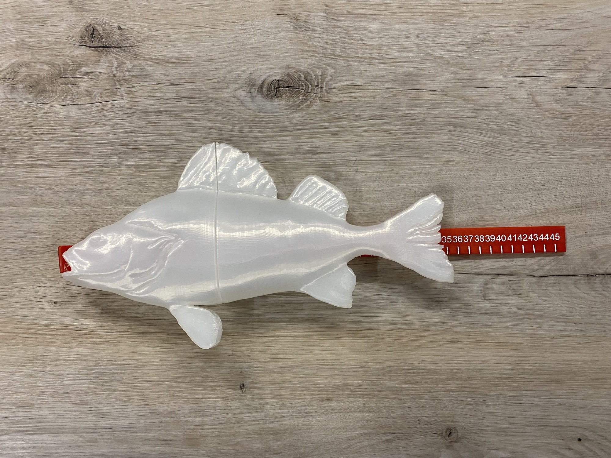 STL file Measure for fishing・3D printer design to download・Cults