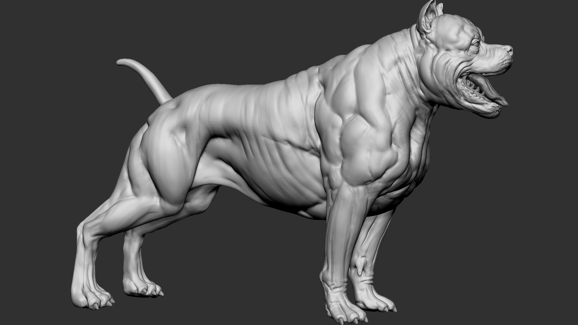STL file Dog Ptibull・Template to download and 3D print・Cults