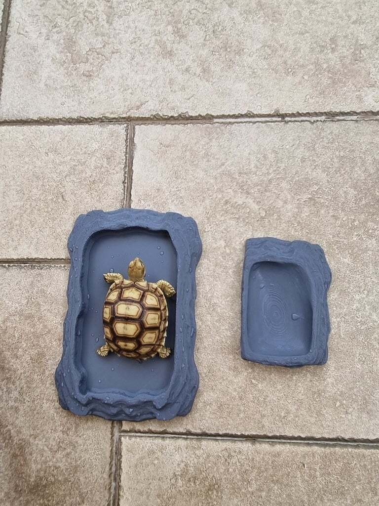 Free STL file Reptile Tortoise Dish 🥣・3D printing design to download・Cults