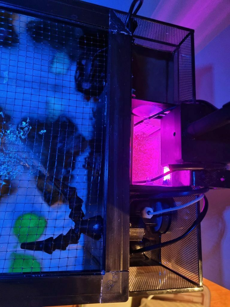 Free 3D file Fluval SEA Evo Refugium + Light Chamber 2・3D print model ...