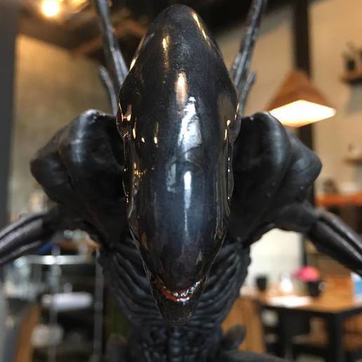 Download STL file Alien Xenomorph 3D Print Model 3D print model ...