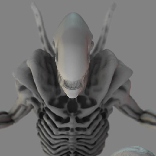 Download STL file Alien Xenomorph 3D Print Model 3D print model ...