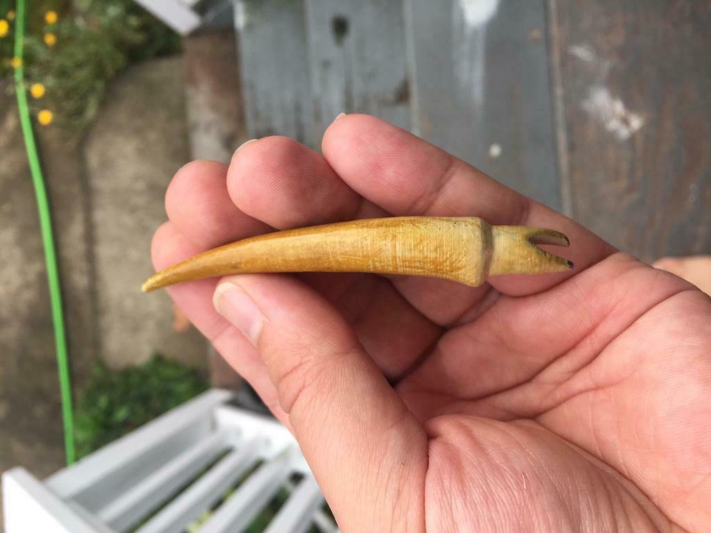 Free 3D file Giant Rat Tooth Prop・3D printing model to download・Cults